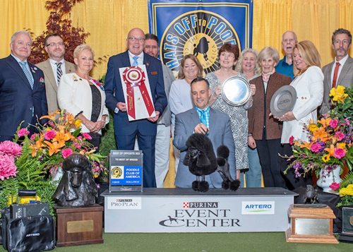 Reflected Glory, Behind the Page, By Toni Tucker, Westminster Kennel ...