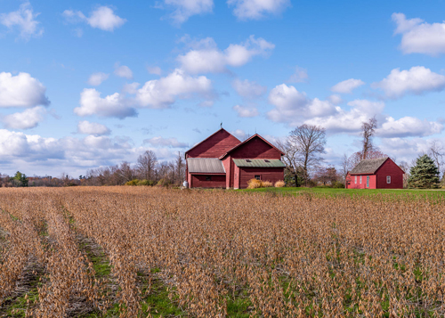 Berkshire Real Estate, Turkey Walk Farm, Kinderhook NY, STONEHOUSE ...