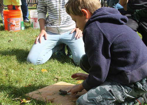 Jumping for Joy, Fair, Colebrook CT, www.townofcolebrook.org ...