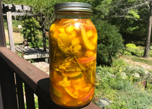 Berkshire Recipes - Quick Pickle - LEON BOUTEILLER | Berkshire Style