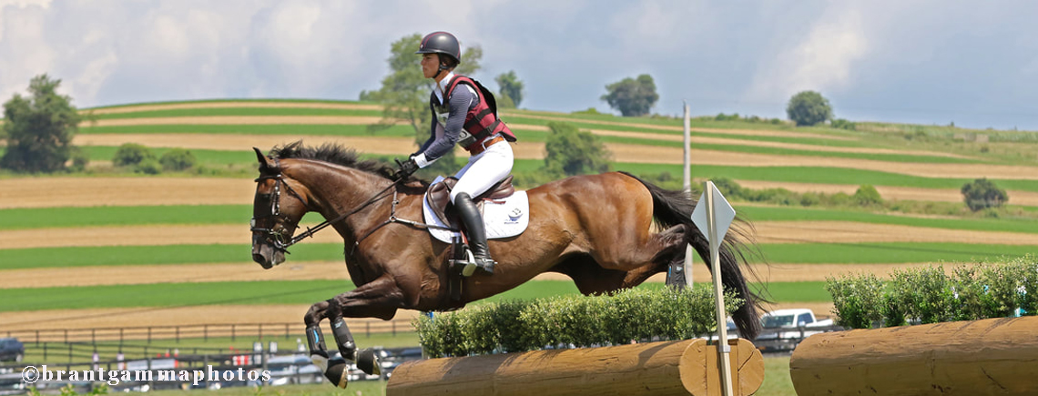Riding High, Millbrook NY, Horse country, www.millbrookhorsetrials.com ...