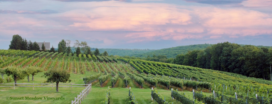 In Varietalse Voluptas - Berkshire Wineries - Connecticut Wine Trail ...